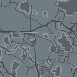 Live wind map and wind forecast — Windy.app